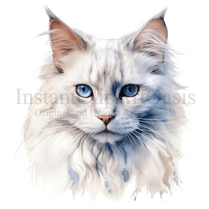 White Cats Clipart, 10 High Quality Pngs, Nursery Art, Digital Download ...