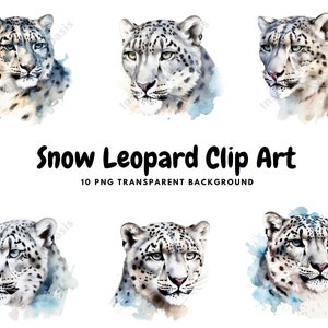 10 High Quality Pngs - Snow Leopard Clipart, Nursery Art, Instant ...