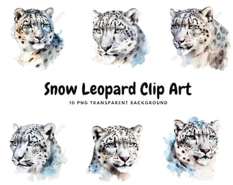 Snow Leopard Clipart 10 High Quality Jpgs Digital Download Card Making ...