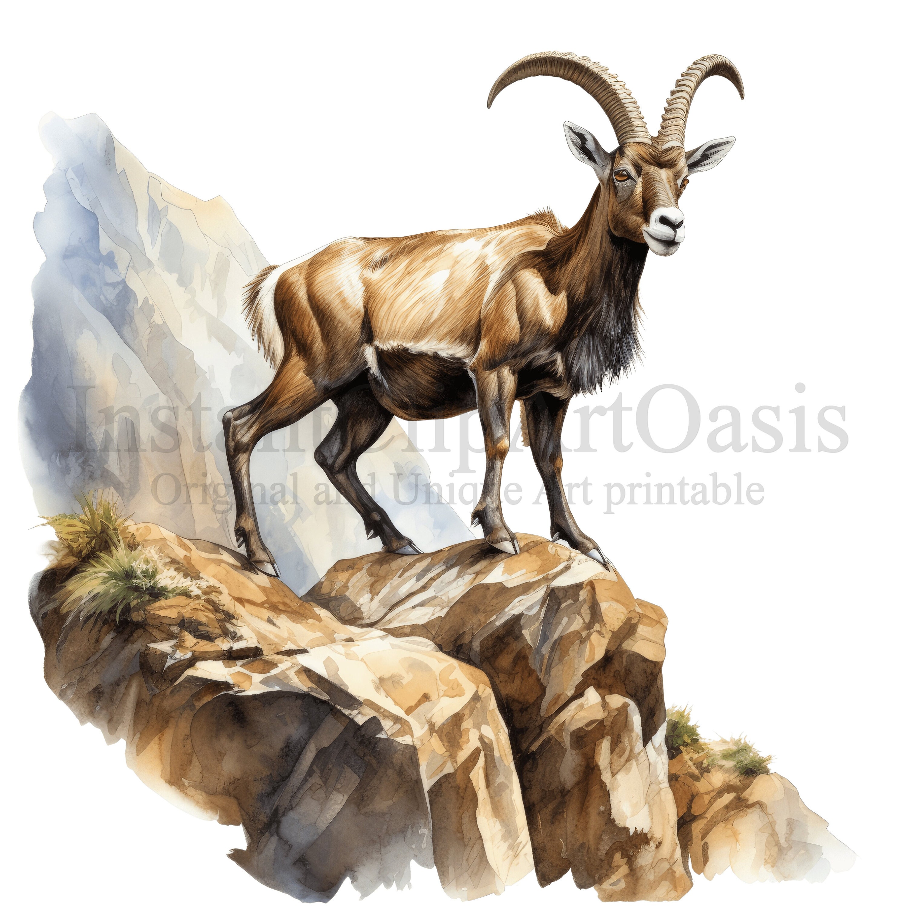 Mountain Ibex Clipart - 10 High Quality Pngs, Digital Planners, Junk ...