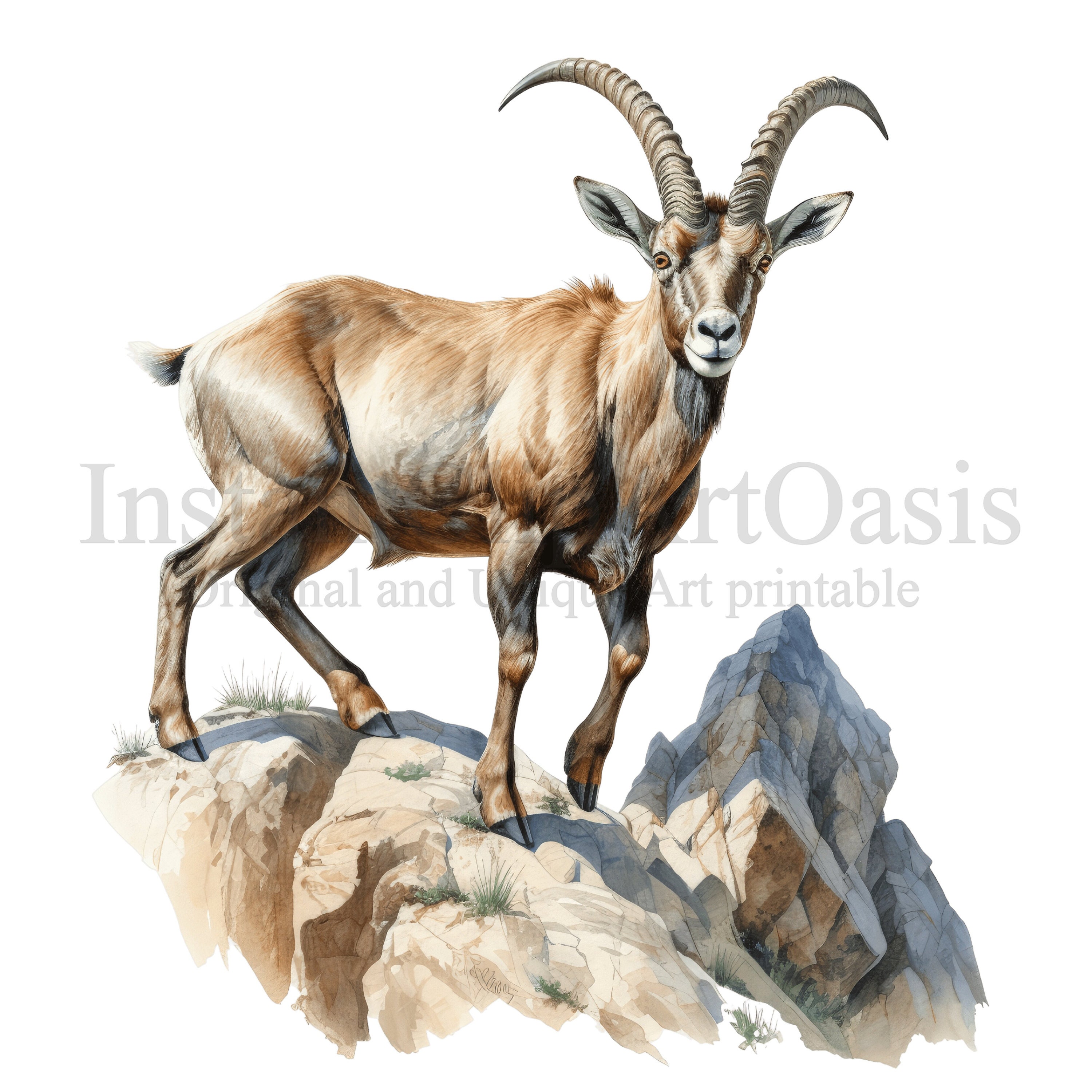 Mountain Ibex Clipart - 10 High Quality Pngs, Digital Planners, Junk ...