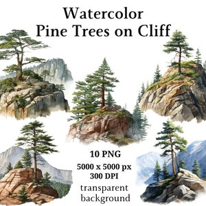 Pine Trees on Cliff Clipart, 10 High Quality Pngs, Botanical Art ...