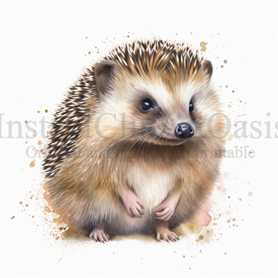 Cute Hedgehog Clipart, 10 High Quality Jpgs, Nursery Art, Digital ...