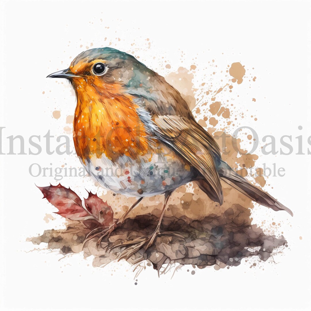 Robin Clipart, 10 High Quality Jpgs, Nursery Art, Digital Planner ...