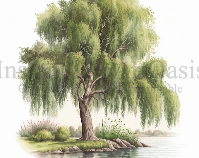 Willow Trees Clipart | 10 High Quality Jpgs | Digital Download | Card ...
