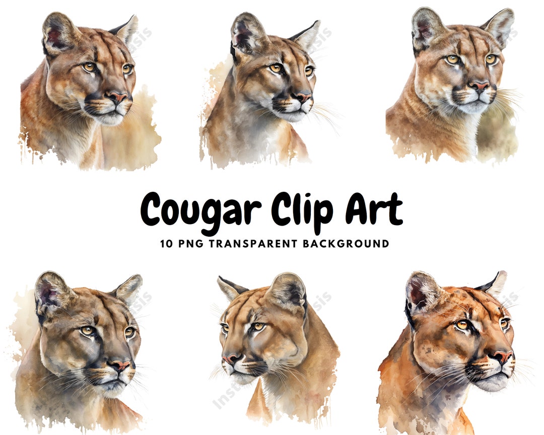 10 High Quality Pngs - Cougar Clipart, Nursery Art, Instant Digital ...
