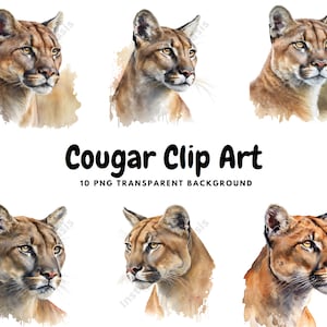 10 High Quality Pngs - Cougar Clipart, Nursery Art, Instant Digital ...