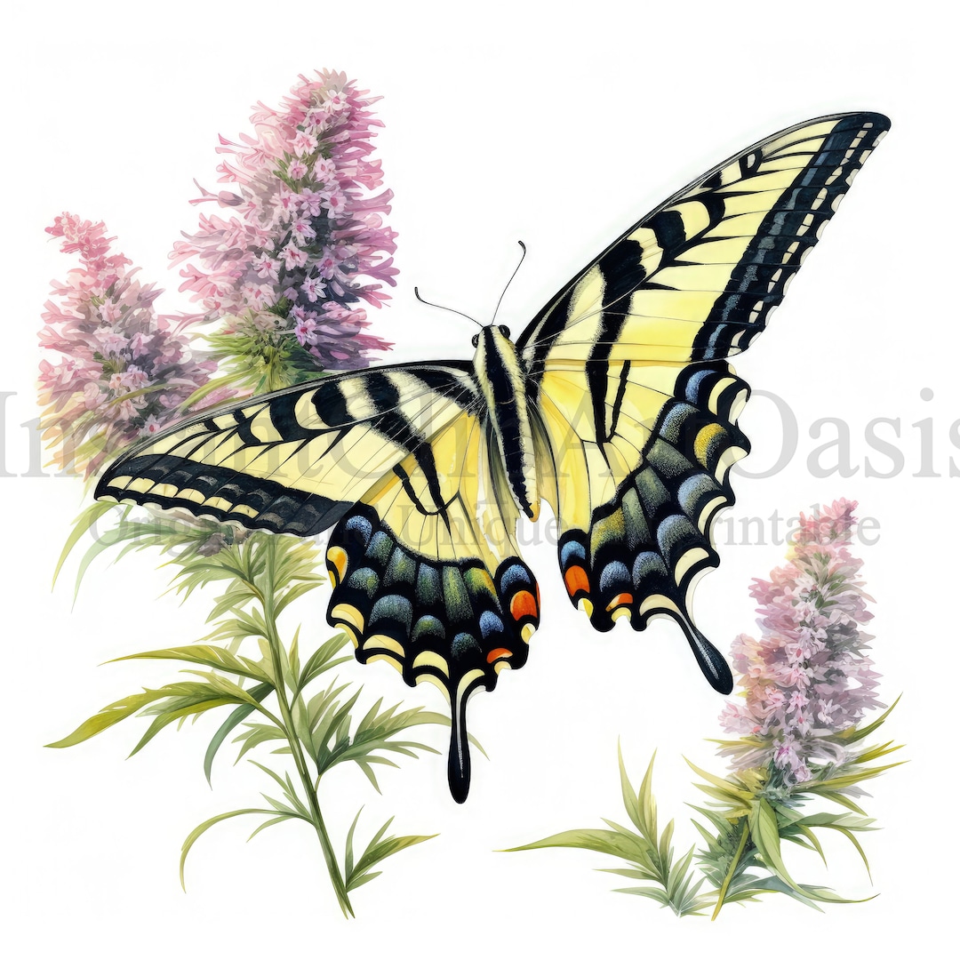 Swallowtail Butterflies Clipart, 10 High Quality Jpgs, Nursery Art ...