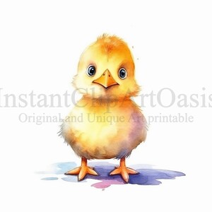 Cute Chick Clipart, 10 High Quality Jpgs, Nursery Art | Card Making ...