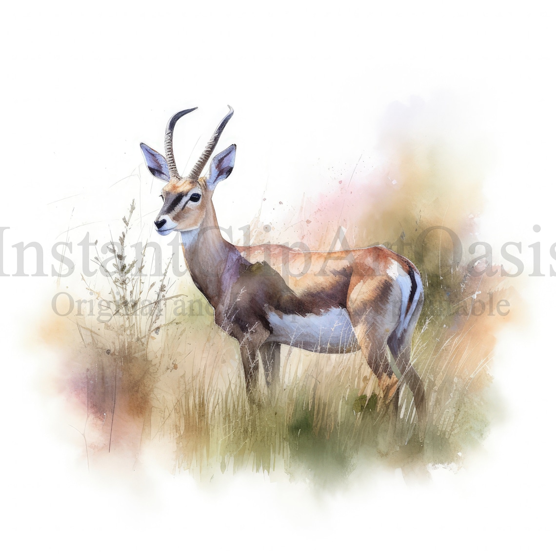 Grant's Gazelle Clipart, 6 High Quality Jpgs, Instant Digital Download ...