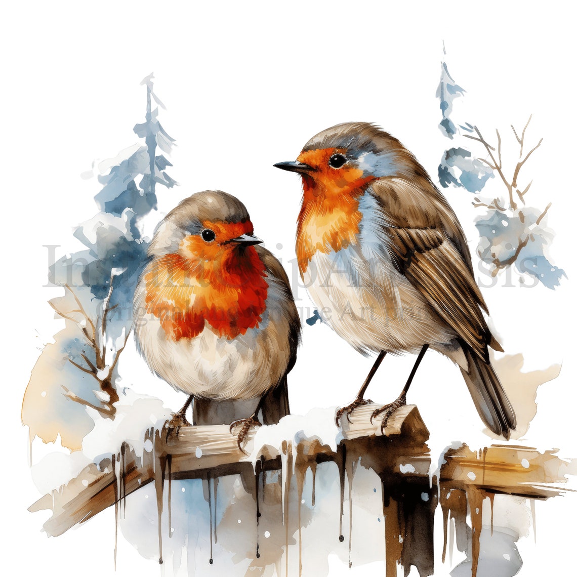 Winter Robins Clipart, 10 High Quality Pngs, Instant Digital Download ...