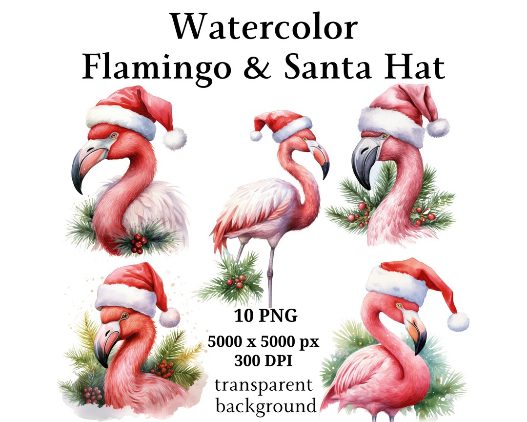 Flamingo & Santa Hat Clipart, 10 High Quality Pngs, Christmas Clipart ...