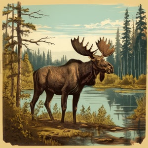 Vintage Moose Clipart, 10 High Quality Jpgs, Digital Download, Vintage ...