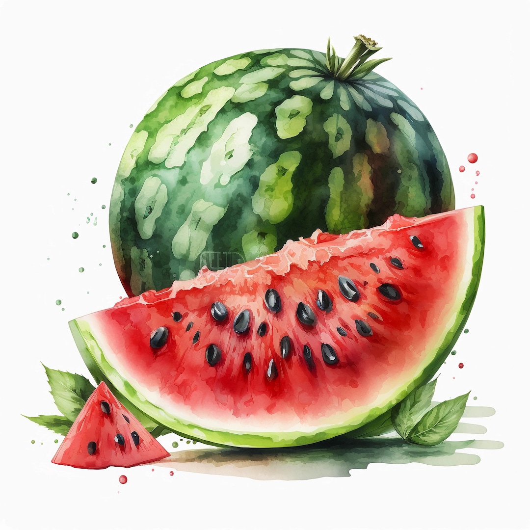 Watermelon Clipart, 10 High Quality Jpgs, Nursery Art | Clip Art, Card ...