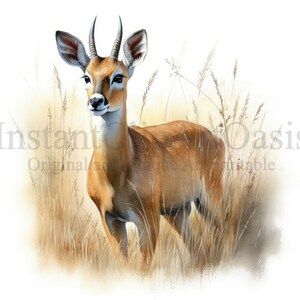 Reedbuck Antelope Clipart, 6 High Quality Jpgs, Instant Digital ...