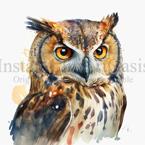 Owl Digital Clip Art - Etsy