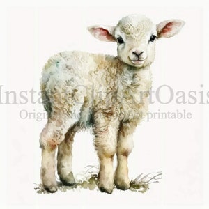 Baby Lamb Clipart, 10 High Quality Jpgs, Nursery Art, Instant Digital ...