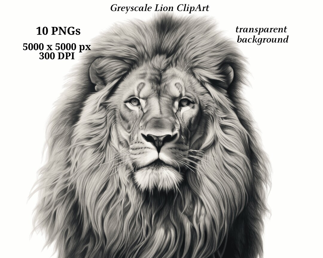 Lion Greyscale Clipart - 10 High Quality Pngs, Digital Download, Card ...