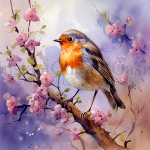 Spring Robin Clipart, 10 High Quality Jpgs, Nursery Art, Instant ...