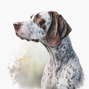 English Pointer Clipart, 8 High Quality Jpgs, Nursery Art, Digital ...