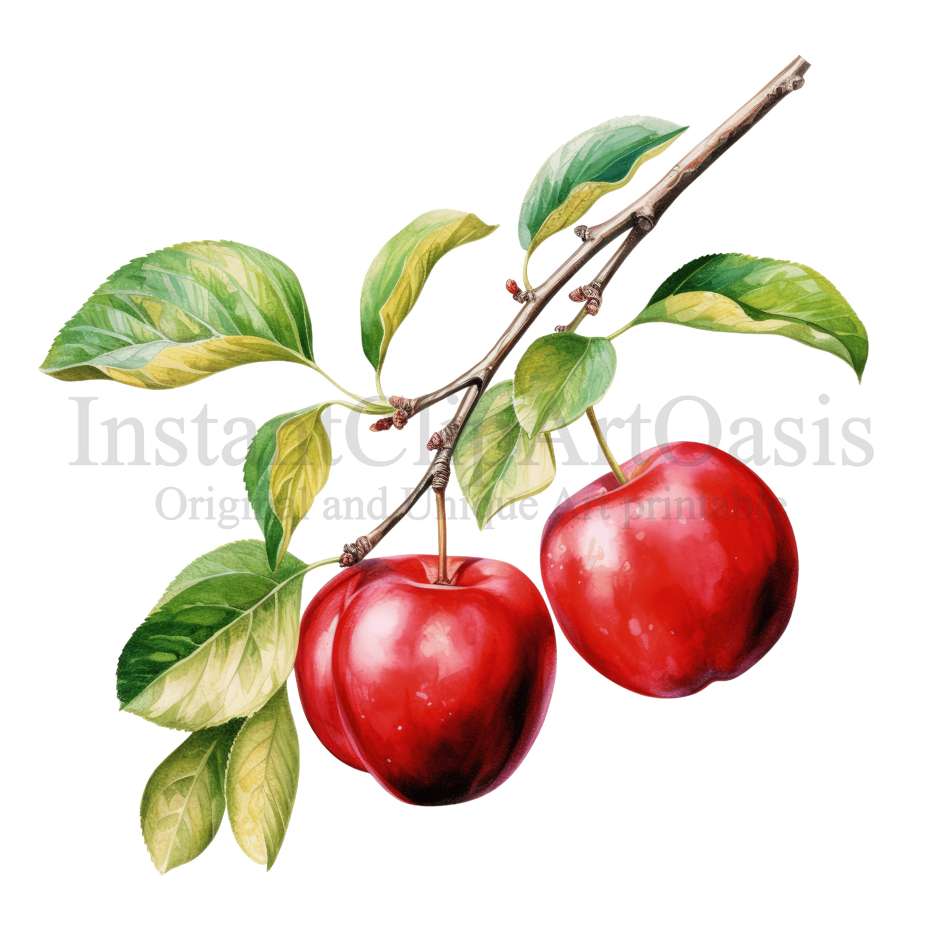 Apple Branches Clipart - 10 High Quality Pngs, Digital Download ...