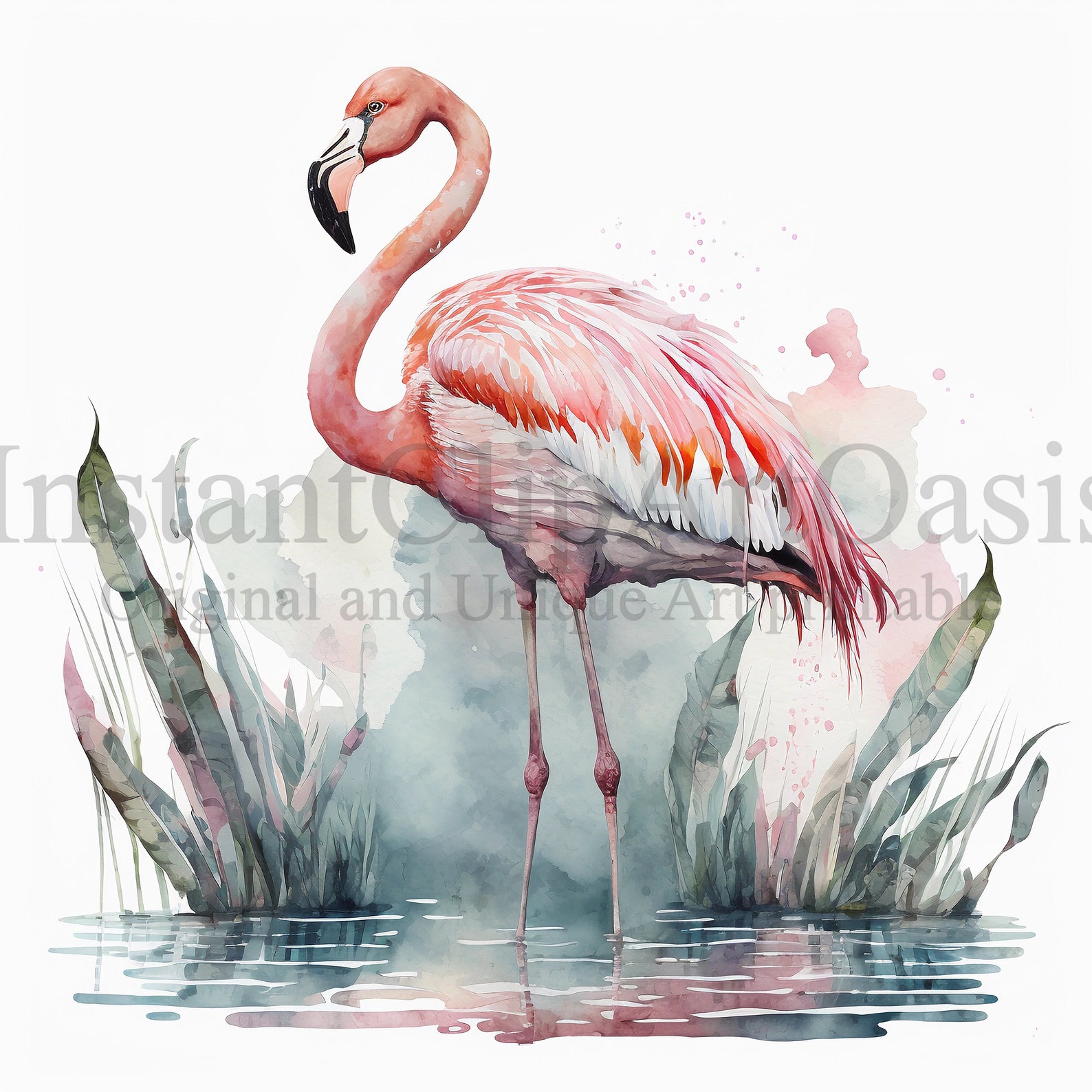 Flamingo Clipart, 10 High Quality Jpgs, Nursery Art | Card Making, Clip ...