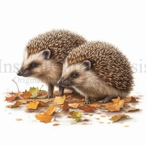 Hedgehogs in Autumn Leaves Clipart, 8 High Quality Jpgs, Nursery Art ...