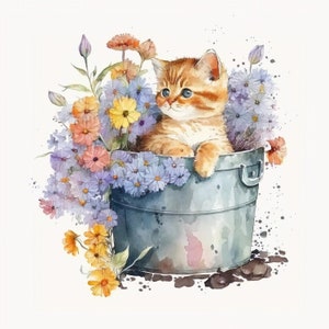 Cats in a Bucket Clipart, 9 High Quality Jpgs, Digital Download, Card ...