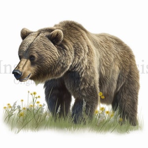 Grizzly Bear Clipart, 10 High Quality Jpgs, Nursery Art | Card Making ...