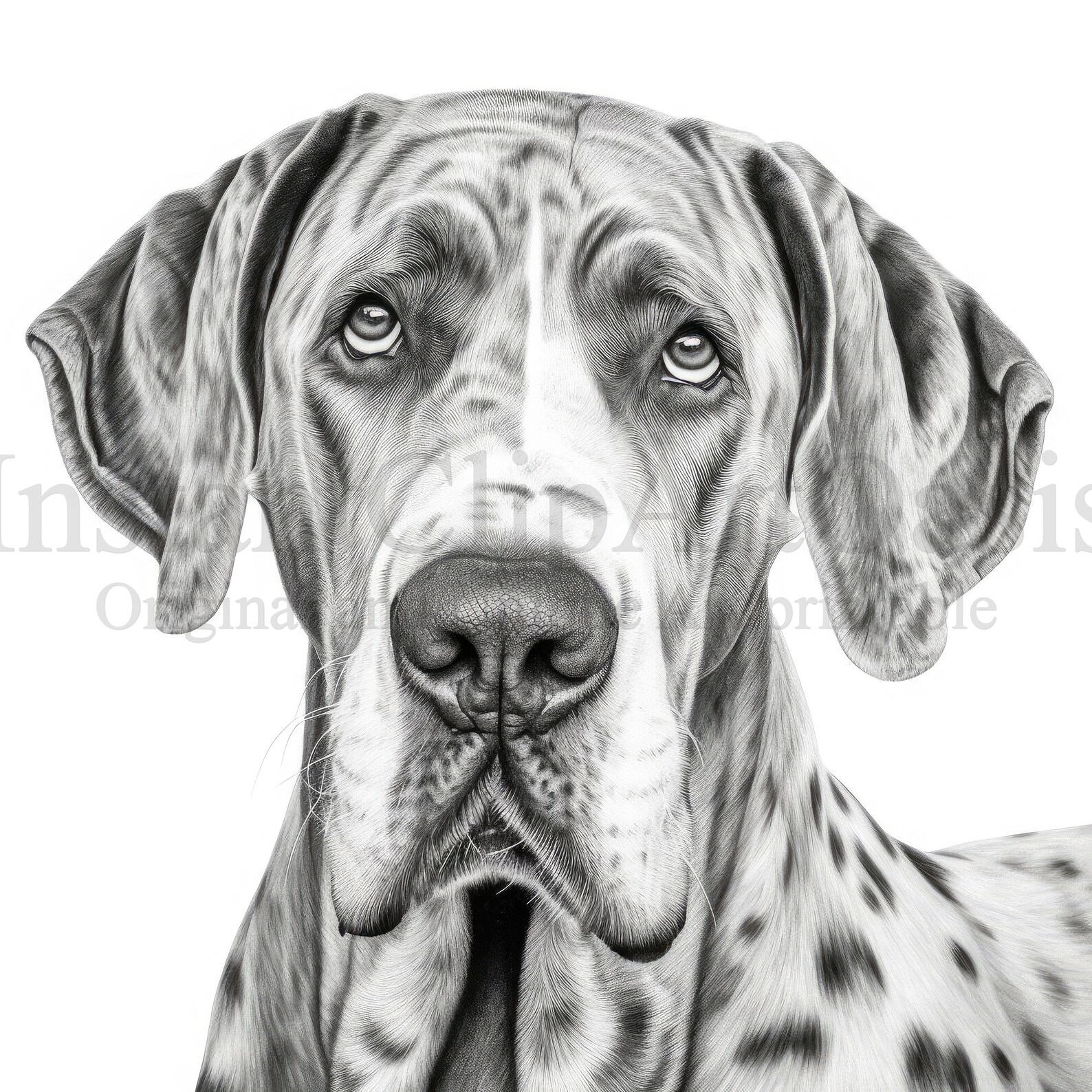 Great Dane Portrait, 10 High Quality Jpgs, Nursery Art, Digital ...