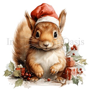 Christmas Squirrell Clipart, 10 High Quality Pngs, Christmas Clipart ...