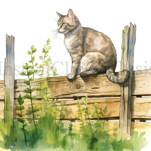 Cats on Fence Clipart, 10 High Quality Jpgs, Digital Download, Card ...