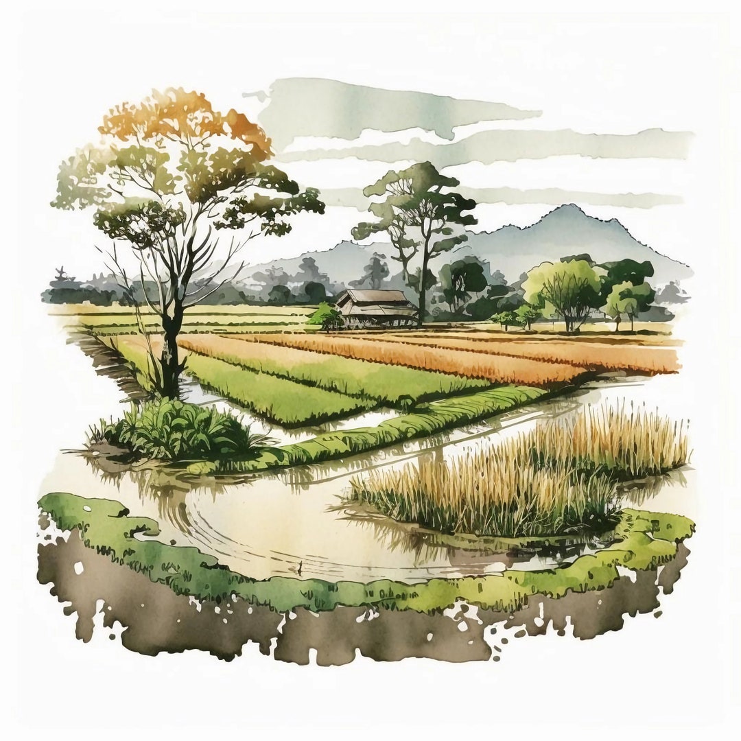 Rice Fields Clipart, 10 High Quality Jpegs, Digital Planner, Junk ...