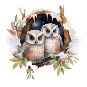 Winter Owls Clipart, 10 High Quality Pngs, Instant Digital Download ...