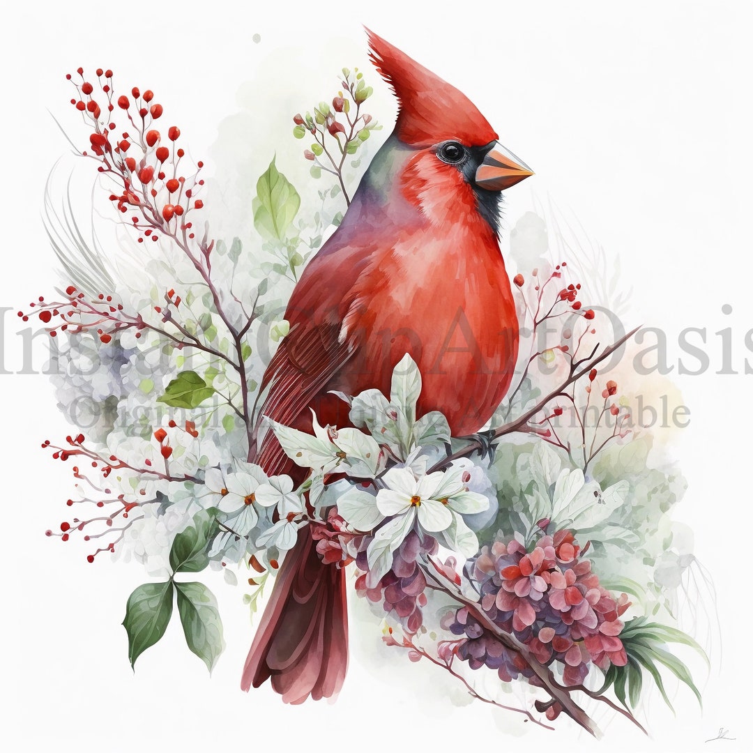 Red Cardinal Clipart, 10 High Quality Jpgs, Nursery Art, Digital ...