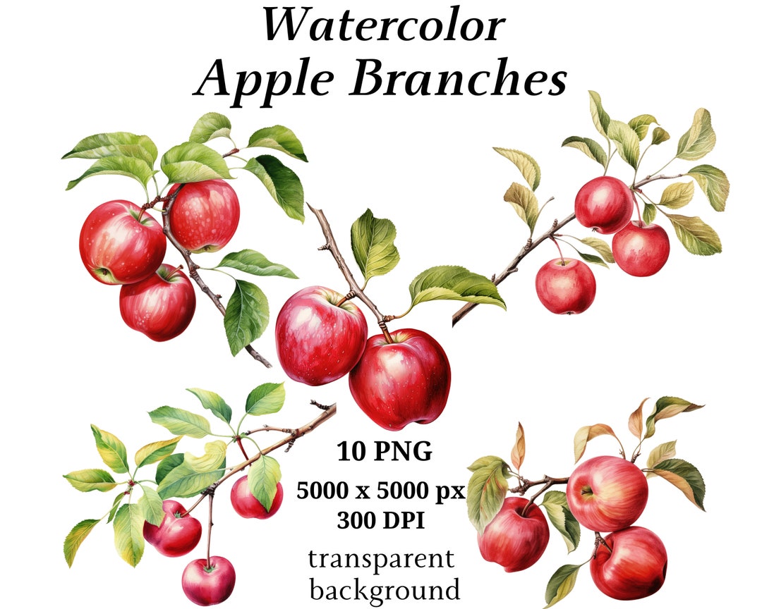 Apple Branches Clipart - 10 High Quality Pngs, Digital Download ...