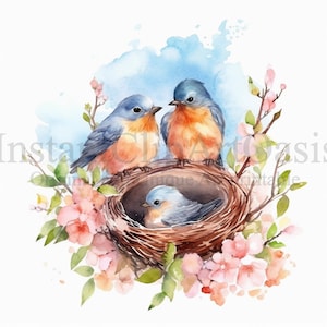 Bird Nest Clipart, 9 High Quality Jpgs, Nursery Art, Instant Digital ...