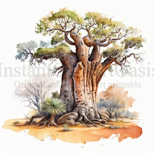 Baobab Clipart, 10 High Quality Jpgs, Botanical Art, Digital Download ...