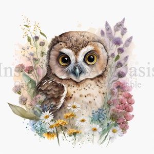 Floral Owls Clipart, 10 High Quality Jpgs, Nursery Art, Digital Planner ...