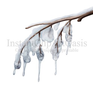 Branch & Icicles Clipart, 10 High Quality Pngs, Botanical Art, Digital ...