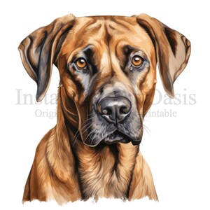 Rhodesian Clipart, 10 High Quality Pngs, Nursery, Digital Planner ...