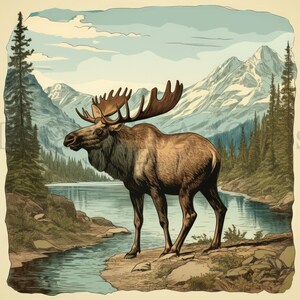 Vintage Moose Clipart, 10 High Quality Jpgs, Digital Download, Vintage ...