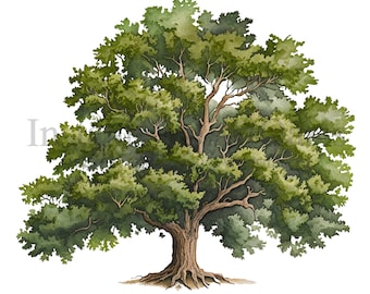 Oak Tree Clipart 45 High Quality Jpgs Digital Download Card Making ...