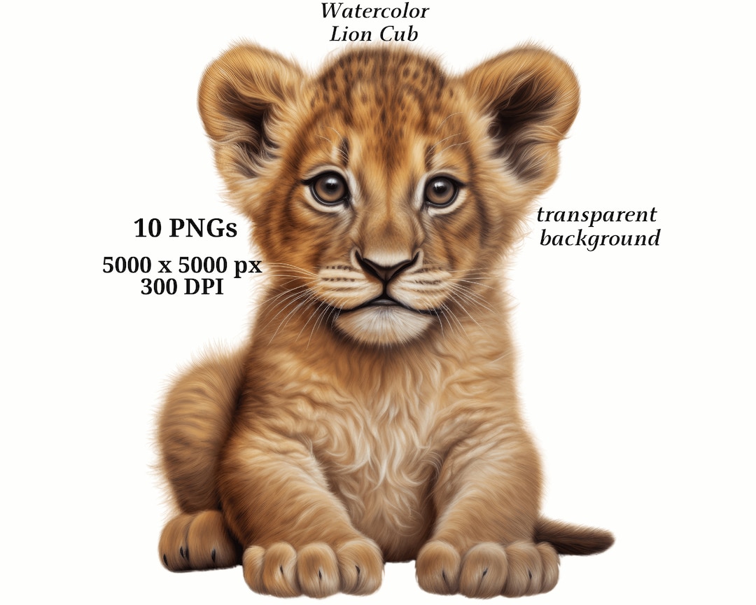 Cute Lion Cub Clipart, 10 High Quality Pngs, Instant Digital Download ...