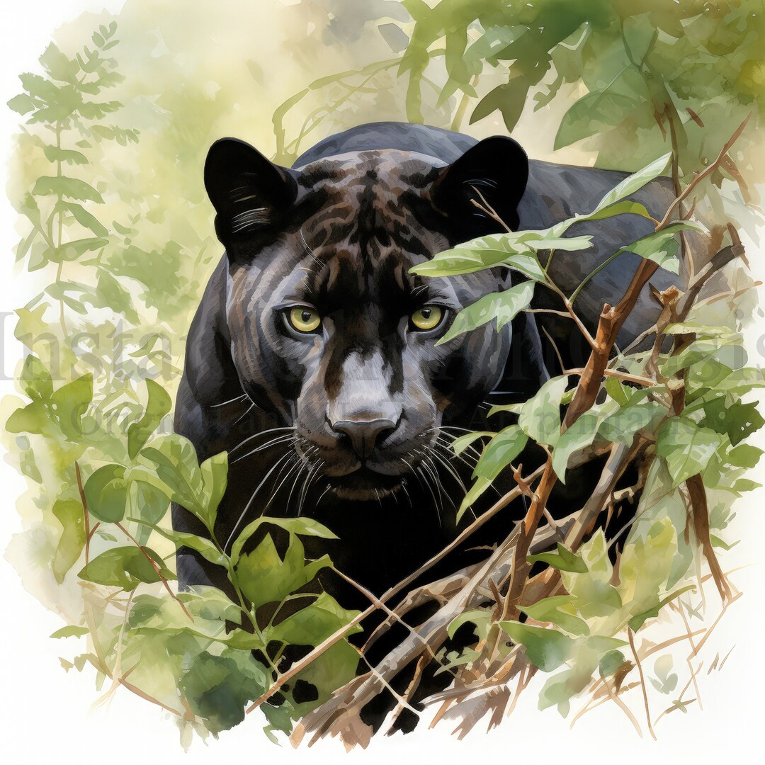 Forest Panther Clipart, 10 High Quality Jpgs, Nursery Art, Instant ...