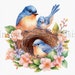 Bird Nest Clipart, 9 High Quality Jpgs, Nursery Art, Instant Digital ...