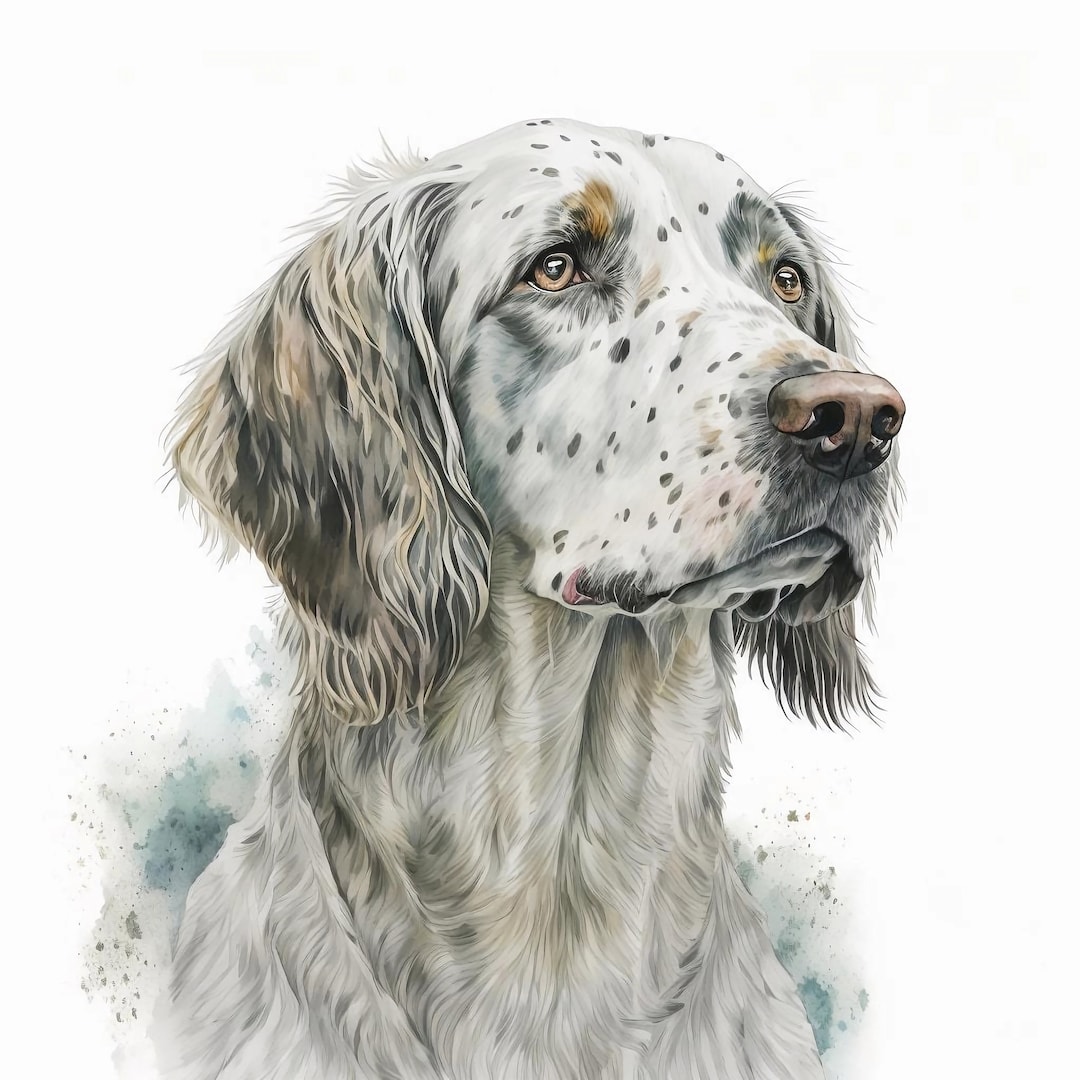 English Setter Clipart, 10 High Quality Jpgs, Nursery Art, Digital ...