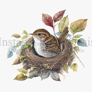 Wren Clipart, 10 High Quality Jpgs, Nursery Art, Instant Digital ...