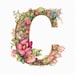 Letter C Clipart, 10 High Quality Jpgs, Nursery Art, Instant Digital ...