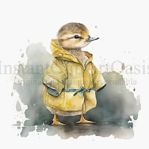 Duckling in Raincoat Clipart, 10 High Quality Jpgs, Nursery Art | Card ...